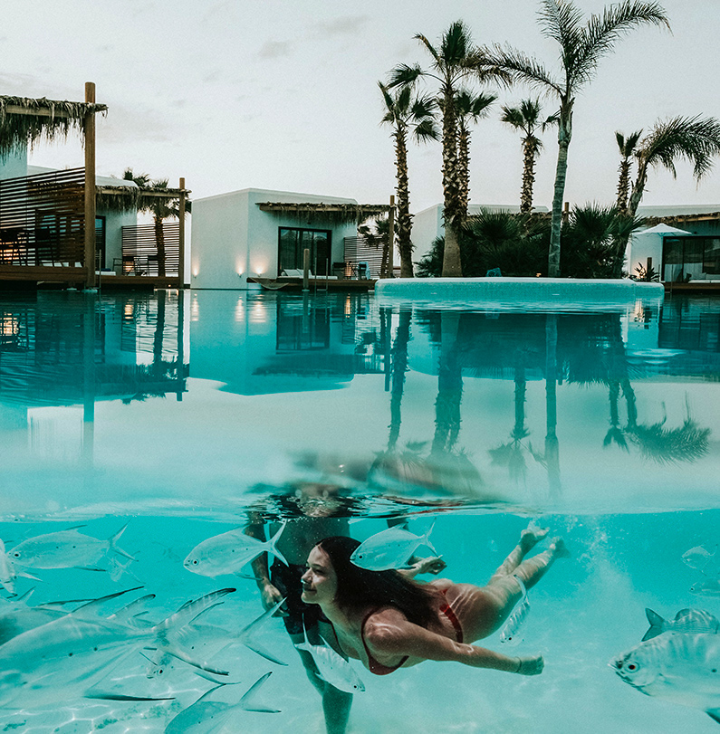 Wolfe's Moab | Hotels in Moab, Utah near Wolfe's Ranch